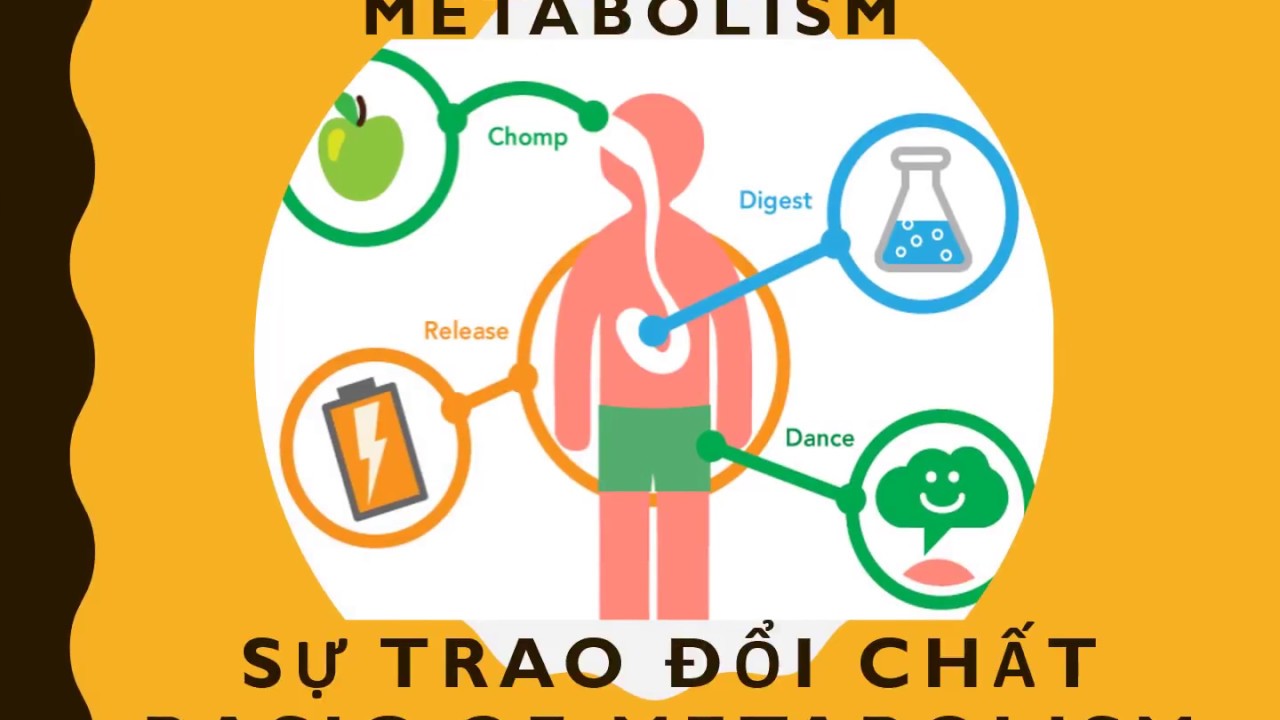 BÍ KÍP GIÚP TĂNG CƯỜNG TRAO ĐỔI CHẤT TRONG CƠ THỂ BẠN